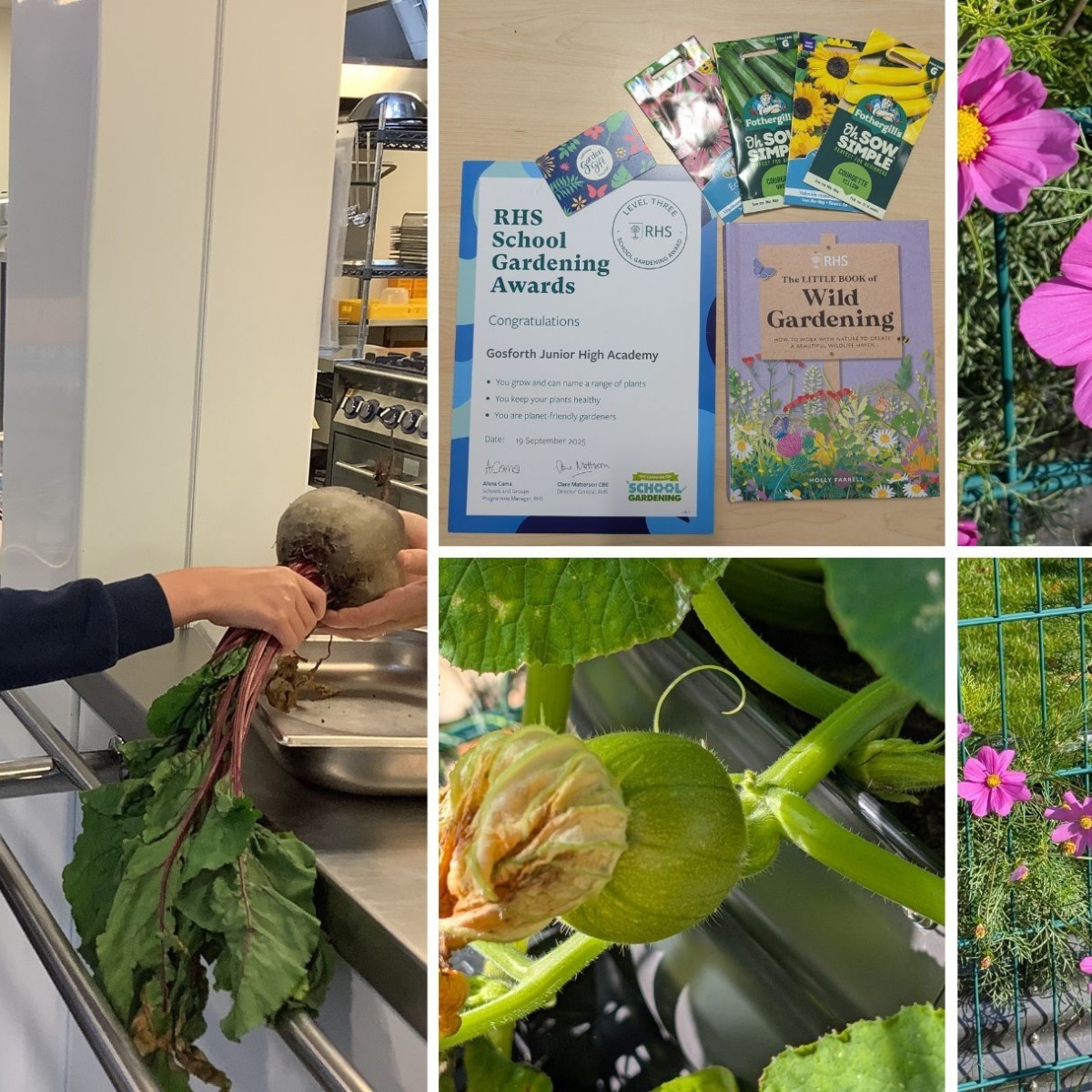 Gosforth Group - Gosforth Junior High earned the RHS Level 3 Gardening ...